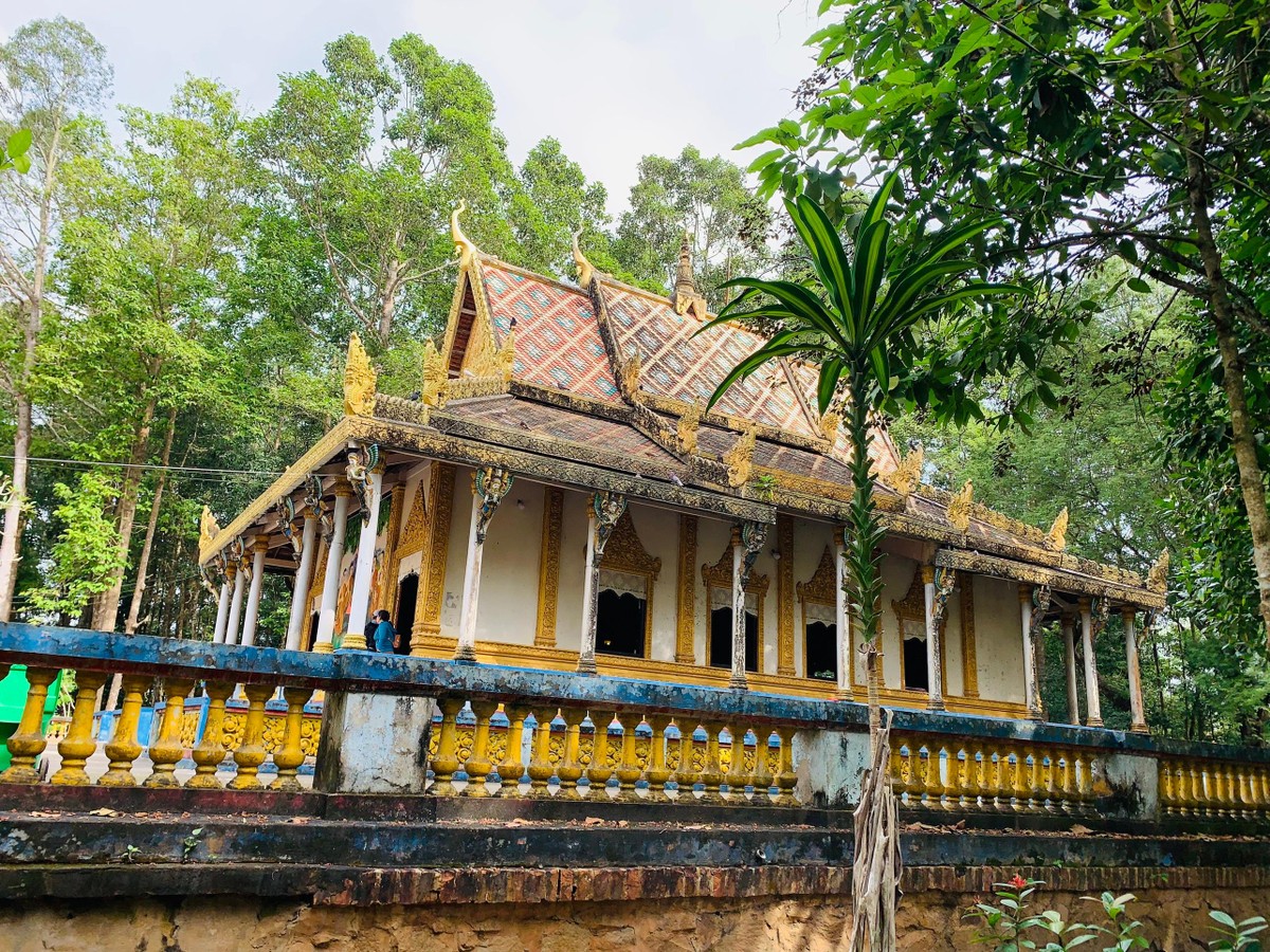 Độc đáo chùa Dơi ở Sóc Trăng