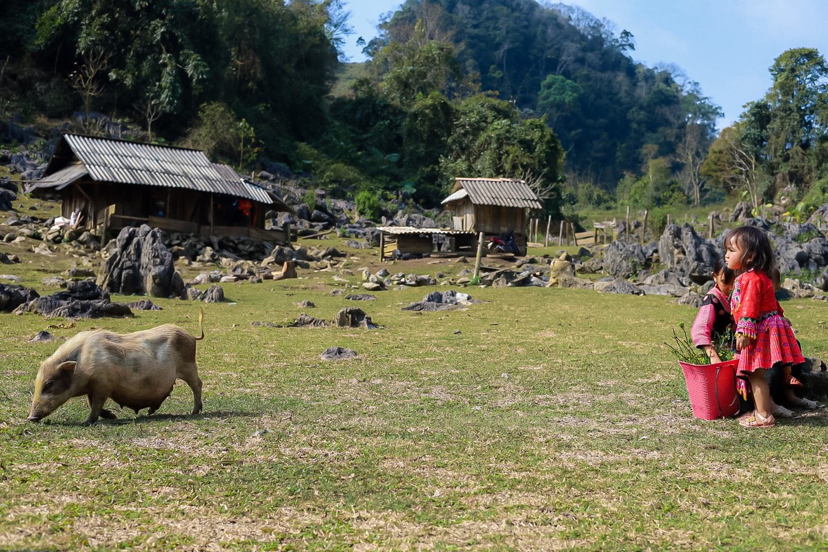 Hang Táu: Vẻ đẹp nguyên sơ thu hút giới trẻ trải nghiệm và ‘sống ảo’